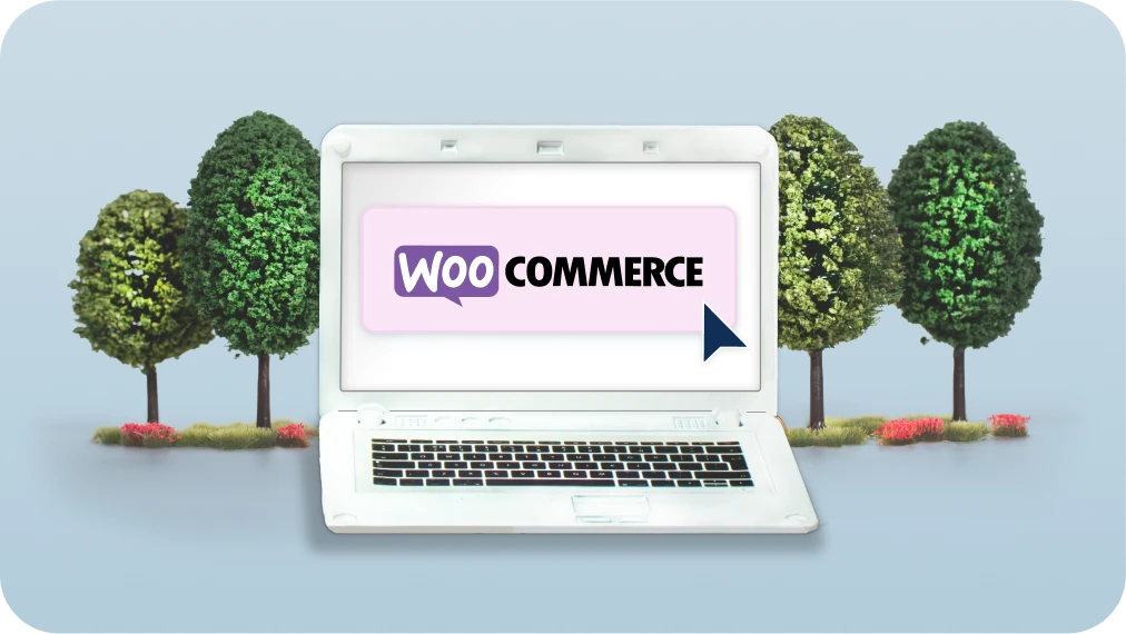 Woocommerce Payment Gateway Integration Iwoca